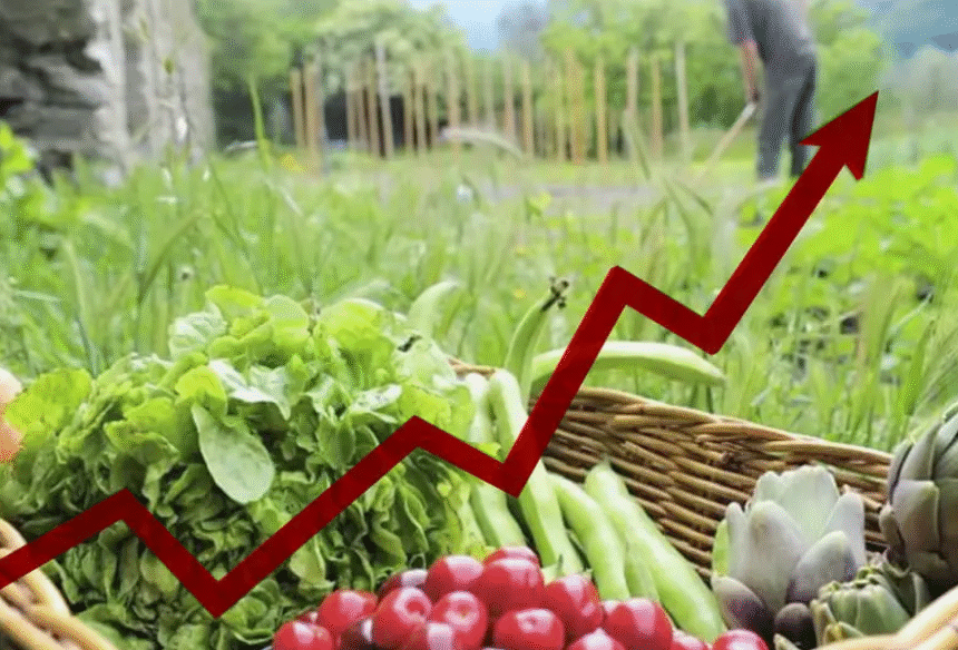 Crecimiento Agro en Ecuador: 17.5% y 1.4 Puntos PIB
